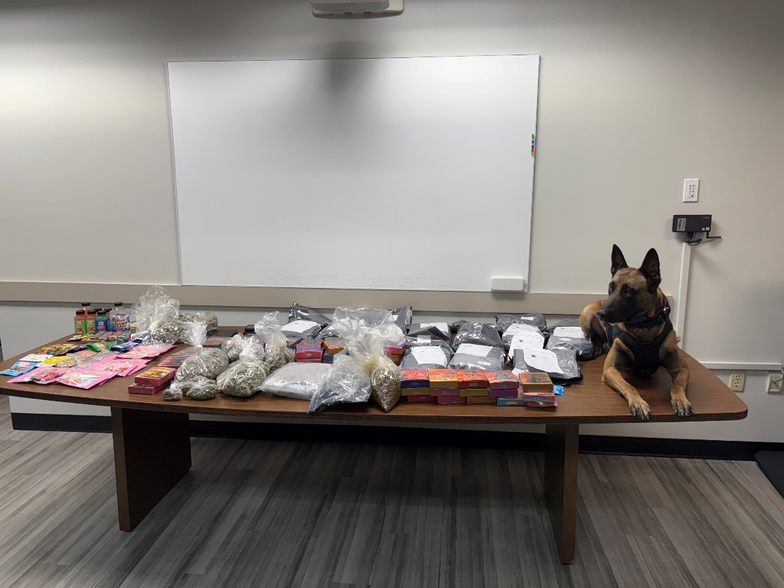 SPD Makes Arrest and Seizes Illegal Drugs with K9 Unit - SAVANNAH POLICE